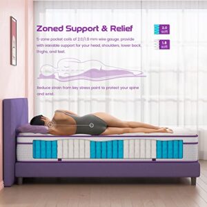 Sersper 8 Inch Memory Foam Hybrid Queen Mattress - 5-Zone Pocket Innersprings Motion Isolation - Heavier Coils for Durable Support -Pressure Relieving - Medium Firm - Made in North America