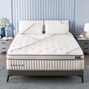 lechepussleep queen mattress,lechepus 14 inch hybrid memory foam mattresses with pocket springs,mattress in box,plush feel euro top mattress for cool sleep & back pain relief,certipur-us foam