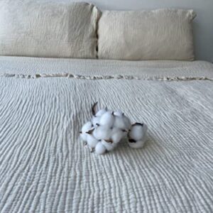 Muslin Blanket 100% Cotton, 4 Layers Bedspread, Soft Turkish Cotton Muslin Bed Cover, Reversible Coverlet, Ivory (King Size Two Pillowcase 20x36 (50x90cm))