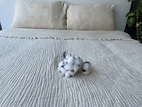 Muslin Blanket 100% Cotton, 4 Layers Bedspread, Soft Turkish Cotton Muslin Bed Cover, Reversible Coverlet, Ivory (King Size Two Pillowcase 20x36 (50x90cm))