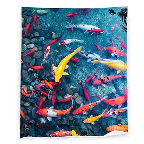 Japanese Koi Carp Blanket 40" x 50" Pond Swims Beautiful Goldfish Super Soft Bedding Fleece Throw Blanket Microfiber Flannel Blankets Sofa Living Room Bedroom Warm Lightweight for Men and Women