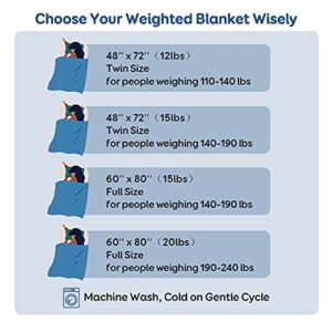 Cottonblue Sherpa Fleece Weighted Blanket 20lbs for Adults, Fluffy Cozy Plush Blanket 20 pounds, Queen Size Weighted Blanket 60”x80”, Warm and Cozy Hug Blanket for Queen/King Size Bed,Slate Blue