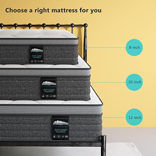 Serweet 10 Inch Memory Foam Hybrid Twin Mattress - 5-Zone Pocket Innersprings for Motion Isolation -Heavier Coils for Durable Support -Medium Firm -Fiberglass-Free -Made in North America