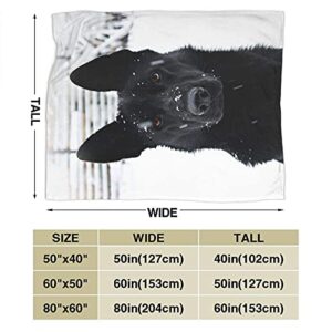 CHENGCHI Winter Black German Shepherd Throw Blanket for Bed Couch Fleece Blankets 50 x 60 Inch Lightweight Soft Bed Blanket for Men Women Multicolor XX-Large