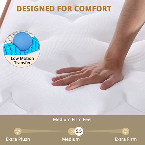 BedStory 14" Hybrid Full Mattress in a Box, Gel Memory Foam Mattress with Pocket Spring, Medium Firm Mattress with Dual Brim Design for Supportive&Pressure Relieving&Motion Isolated Sleep, Made in USA