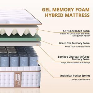 BedStory 14" Hybrid Full Mattress in a Box, Gel Memory Foam Mattress with Pocket Spring, Medium Firm Mattress with Dual Brim Design for Supportive&Pressure Relieving&Motion Isolated Sleep, Made in USA