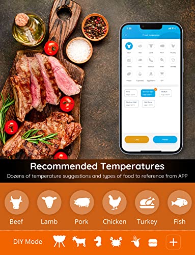 Govee WiFi Meat Thermometer, Wireless Meat Thermometer with 4 Probe, Smart Bluetooth Grill Thermometer with Remote App Notification Alert, Digital Rechargeable BBQ Thermometer for Smoker Oven Kitchen