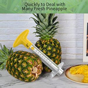 SZ LINGKE Pineapple Corer and Slicer Tool, [Upgraded, Electric & Manual] Stainless Steel Pineapple Cutter for Easy Core Removal and Slicing, Durable Pineapple Slicer with Electric Drill Accessory