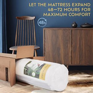 Heyward Premium 4” Memory Foam Trifold Mattress | Twin, Portable Space Saver, Medium-Firm, CertiPUR-US Certified | Washable Bamboo Jacquard Ventilated Material w/Non-Slip Base | 75”L x 38”W x 4”H