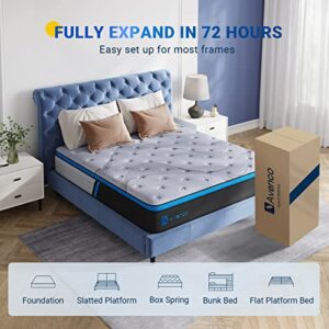 Avenco Full Size Mattress in a Box, 12 Inch Full Hybrid Memory Foam Mattress with Individually Pocket Innerspring for Motion Isolation & Cool Sleep, Pressure Relief, Medium Firm