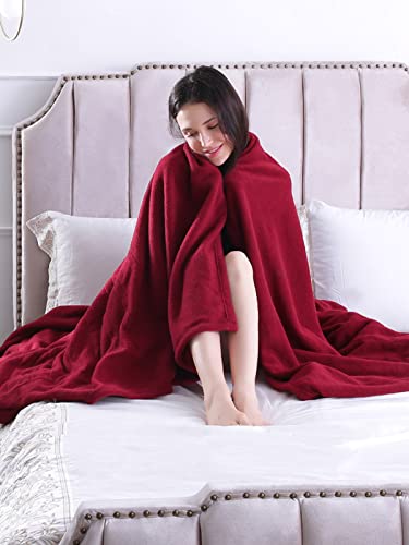 Electric Heated Blanket 62'' x 84'' Twin Size, 4 Heating Levels & 10 Hours Auto Off, Full Body Warming with Fast Heating & Machine Washable, Lightweight Cozy Soft Fleece for Home Use