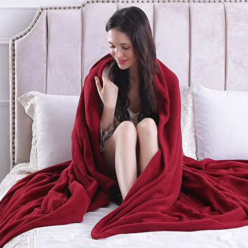 Electric Heated Blanket 62'' x 84'' Twin Size, 4 Heating Levels & 10 Hours Auto Off, Full Body Warming with Fast Heating & Machine Washable, Lightweight Cozy Soft Fleece for Home Use