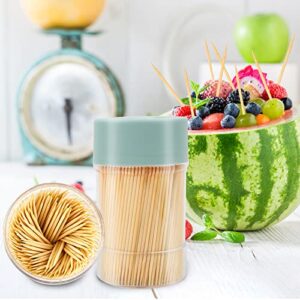 TRTRin Bamboo Toothpicks [3000 Count] - With Reusable Toothpick Holder, Sturdy Smooth Finish Tooth Picks, for Party, Appetizer, Olive, Barbecue, Fruit and Teeth Cleaning, Green.