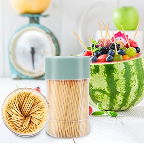 TRTRin Bamboo Toothpicks [3000 Count] - With Reusable Toothpick Holder, Sturdy Smooth Finish Tooth Picks, for Party, Appetizer, Olive, Barbecue, Fruit and Teeth Cleaning, Green.