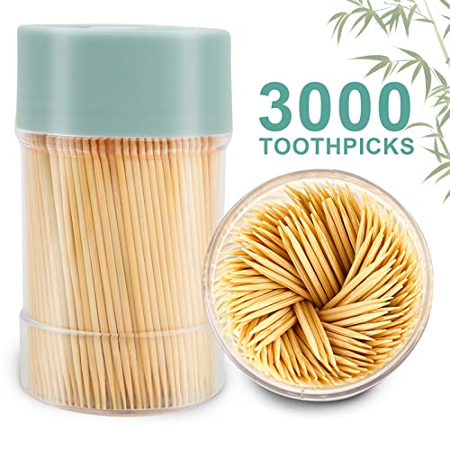 TRTRin Bamboo Toothpicks [3000 Count] - With Reusable Toothpick Holder, Sturdy Smooth Finish Tooth Picks, for Party, Appetizer, Olive, Barbecue, Fruit and Teeth Cleaning, Green.