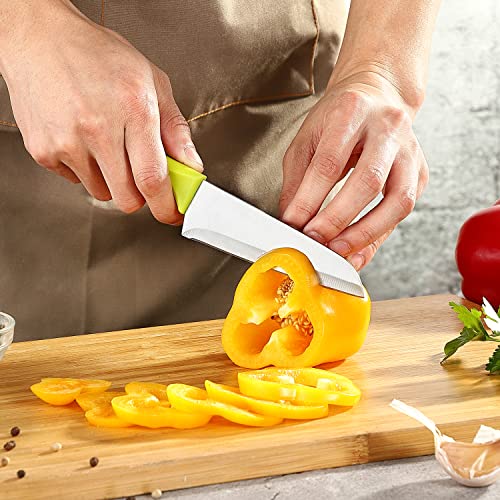 JJOO Chef knife, Kitchen Knife, 6.3 inch Chef Knife, 3.5 inch Paring Knife and Matched Knife Sheath, German Stainless Steel Kitchen Knives with Ergonomic PP Handle