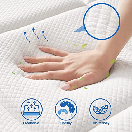 Queen Mattress, DIGLANT 12 Inch Cool Gel Memory Foam Hybrid Mattress, Euro Top Pocket Spring Mattress in a Box, Balance Support & Motion Isolation, Medium Feel Mattress, CertiPUR-US Certified