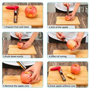 SCHVUBENR Premium Apple Corer Tool - Easy to Use and Clean - Sturdy Apple Core Remover with Sharp Serrature - Stainless Steel Corers for Apple and Pear - Core Fruits with Ease(Red)