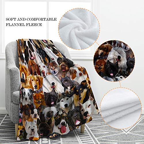 Jekeno Dogs Blanket Husky Shiba Inu Pomeranian Bull Terrier Smooth Soft Print Throw Blanket for Bed Couch Sofa Gift Kid Adult 50"x60"