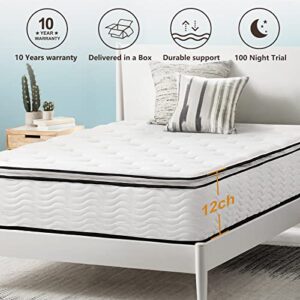 EASELAND Queen Size Mattress - 12 inch Bamboo Pillow Top Hybrid Mattress in a Box, Innerspring & Cooling Gel Memory Foam Mattresses for Supportive & Pressure Relief, Medium Firm