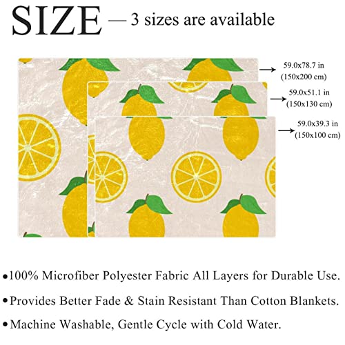 Fleece Throw Blanket for Couch Sofa or Bed Cozy Soft Blankets Yellow Fresh Lemons Summer