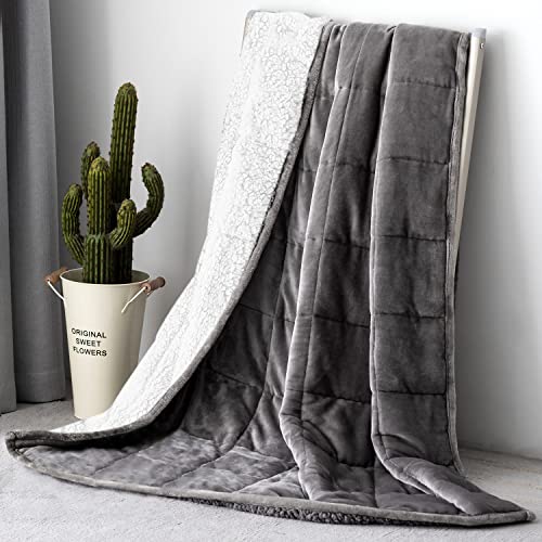 Topblan Sherpa Fleece Weighted Blanket 12lbs, Double Sided with Fuzzy Fleece and Shaggy Sherpa to Help with Better Sleep, 48x72 inches, Grey & White