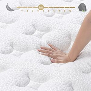 BedStory Queen Mattress - Made in USA - 14 Inch Hybrid Mattress Medium Feel, Individually Wrapped Coils for Pressure Relief & Motion Isolation, 80”x60”x14”