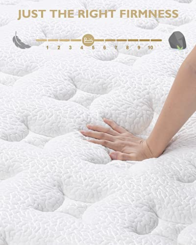 BedStory Queen Mattress - Made in USA - 14 Inch Hybrid Mattress Medium Feel, Individually Wrapped Coils for Pressure Relief & Motion Isolation, 80”x60”x14”