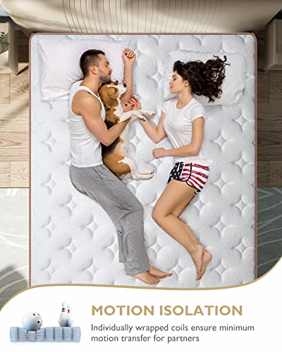 BedStory Queen Mattress - Made in USA - 14 Inch Hybrid Mattress Medium Feel, Individually Wrapped Coils for Pressure Relief & Motion Isolation, 80”x60”x14”