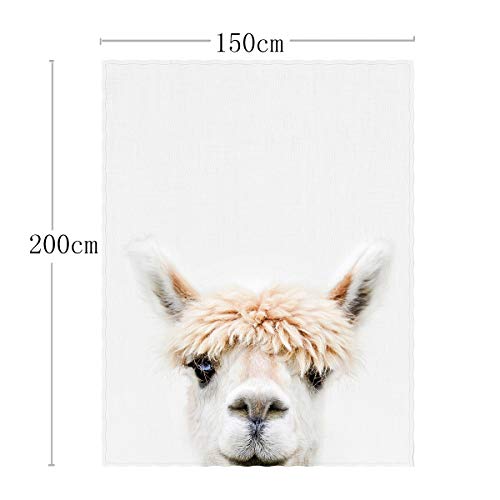 QH 58 x 80 Inch Llama Pattern Super Soft Throw Blanket for Bed Couch Sofa Lightweight Travelling Camping Throw Size for Kids Adult All Season