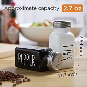 Bivvclaz Salt and Pepper Shakers Set, Cute Glass Spice Shaker with Stainless Steel Lid, Black and White Kitchen Table Decor and Accessories for Counter, for Kitchen Wedding Gifts, 2.7oz Each