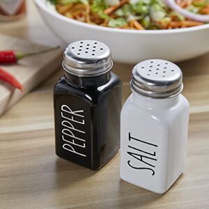 Bivvclaz Salt and Pepper Shakers Set, Cute Glass Spice Shaker with Stainless Steel Lid, Black and White Kitchen Table Decor and Accessories for Counter, for Kitchen Wedding Gifts, 2.7oz Each