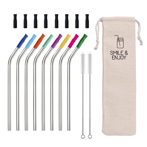 8-Pack Reusable Stainless Steel Straws with Colored & Black Silicone Tips, Straw Cleaner Brush and Polyester Bag, Reusable Straws for Tumblers & Mason Jars