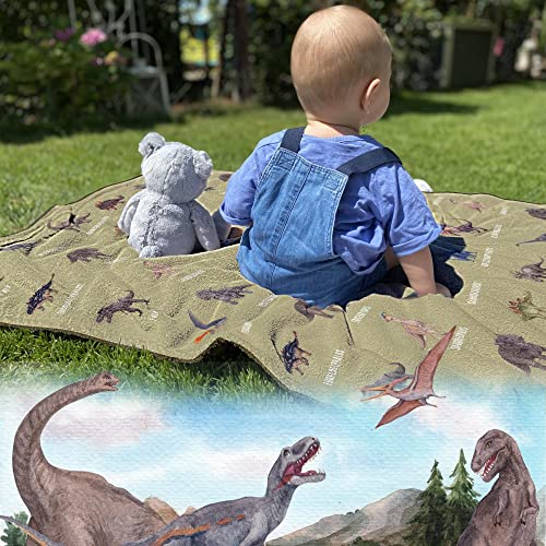 Dinosaur Blanket for Boys，Jurassic World Adults Dino Blanket，Soft Cozy Warm Throw Fleece Blanket for Couch Sofa Bed (Dinosaurs, 80" L x 60" W)