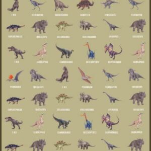 Dinosaur Blanket for Boys，Jurassic World Adults Dino Blanket，Soft Cozy Warm Throw Fleece Blanket for Couch Sofa Bed (Dinosaurs, 80" L x 60" W)