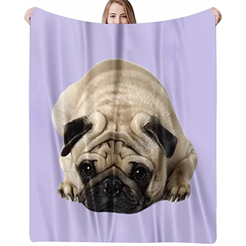 Pug Throw Blanket Kid's Blanket Puppy Blanket Super Soft Flannel Blanket for Bed and Couch, Pug Gifts for Pug Lovers(Purple,60x80)