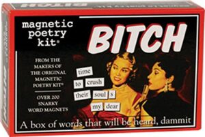 magnetic poetry - bitch kit - words for refrigerator - write poems and letters on the fridge - made in the usa