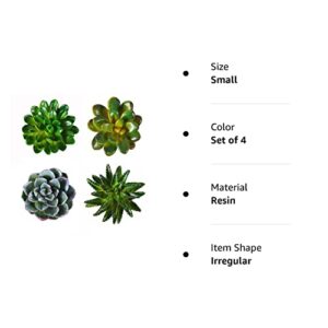 CoCoMe Funny 3D Resin Succulent Fridge Refrigerator Magnets, Set of 4