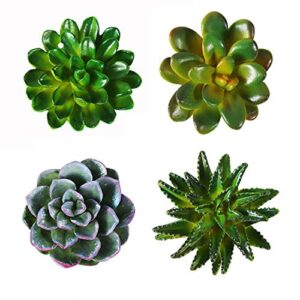 cocome funny 3d resin succulent fridge refrigerator magnets, set of 4