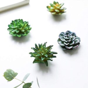 CoCoMe Funny 3D Resin Succulent Fridge Refrigerator Magnets, Set of 4