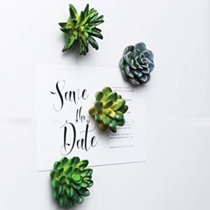 CoCoMe Funny 3D Resin Succulent Fridge Refrigerator Magnets, Set of 4