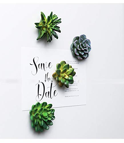 CoCoMe Funny 3D Resin Succulent Fridge Refrigerator Magnets, Set of 4