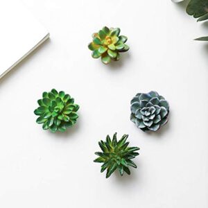 CoCoMe Funny 3D Resin Succulent Fridge Refrigerator Magnets, Set of 4