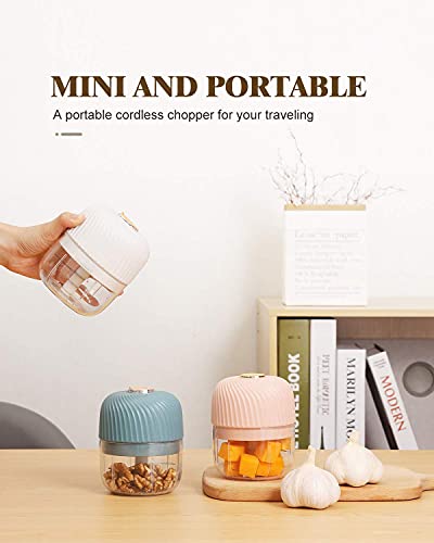 DmofwHi Electric Garlic Chopper,Cordless Mini Chopper With USB Rechargeable,304 Stainless Steel Blade,250ml Portable Electric Mini Food Chopper for Garlic,Ginger,Onion,Meat-Cream White