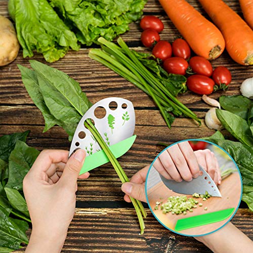 VIBIRIT Herb Scissors Leaf Herb Stripper, Stainless Steel 5 Blade Kitchen Scissors,Peelers for Kitchen,for Chopping Chive, Vegetables, Salad,Collard Greens, Parsley, Rosemary Herb As Christmas gifts