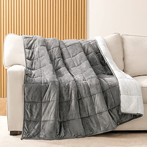 HBlife Sherpa Fleece Weighted Blanket for Adults, Oeko-Tex Certified 10 lbs Thick Fuzzy Bed Blanket, Heavy Reversible Soft Fleece Blanket with Premium Glass Beads 50 x 60 Inches, Grey