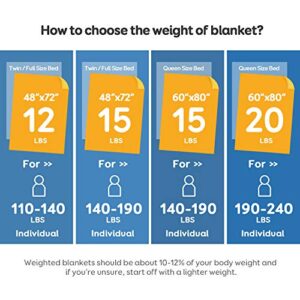 Uttermara Weighted Blanket Queen Size 15lbs 60x80 inches, Sherpa Weighted Blankets with Soft Plush Fleece, Cozy Warm White Sherpa Snuggle Thick Heavy Blanket Great for Relax and Calming, Grey