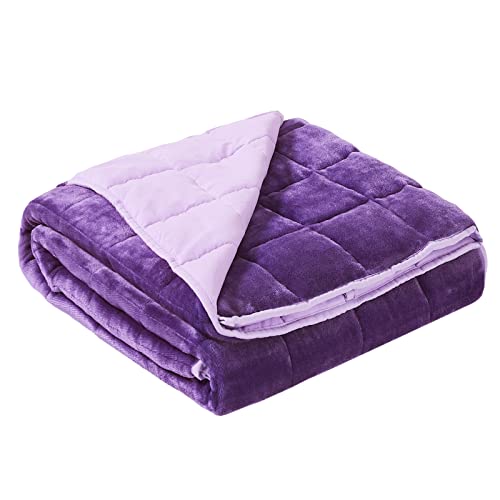 Satwip Weighted Blanket Queen Size 15lbs Fuzzy Warm Flannel Throw Blanket with Soft Breathable Sanded, 60 x 80 inches, Purple