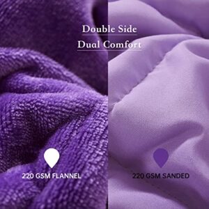 Satwip Weighted Blanket Queen Size 15lbs Fuzzy Warm Flannel Throw Blanket with Soft Breathable Sanded, 60 x 80 inches, Purple