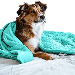 Nappy Puppy - Weighted Dog Blanket | Specially Designed for Anxious Dogs | Extra Comfortable | Premium Minky Fabric | Hypoallergenic Glass Beads | Aqua | Large 6 lb